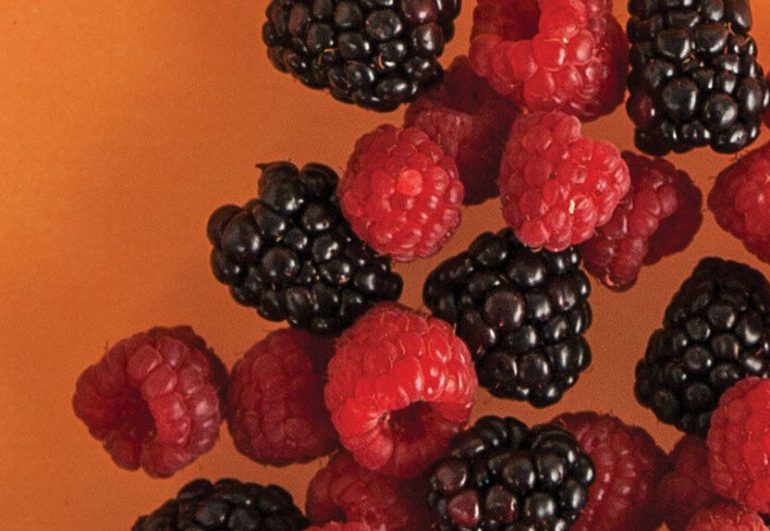 Agrega bayas a tu dieta - Revista Cosmopolitan Agrega bayas a tu dieta - Revista Cosmopolitan