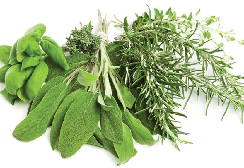 Hierbas para tu salud - Revista Cosmopolitan