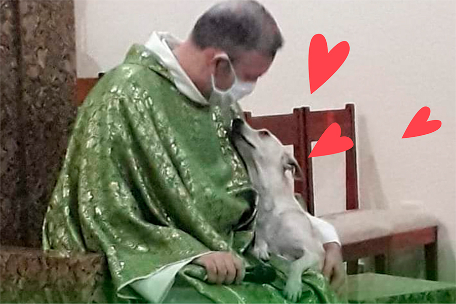 Aww! Este sacerdote busca hogar a perritos de la calle en misa, conoce ...