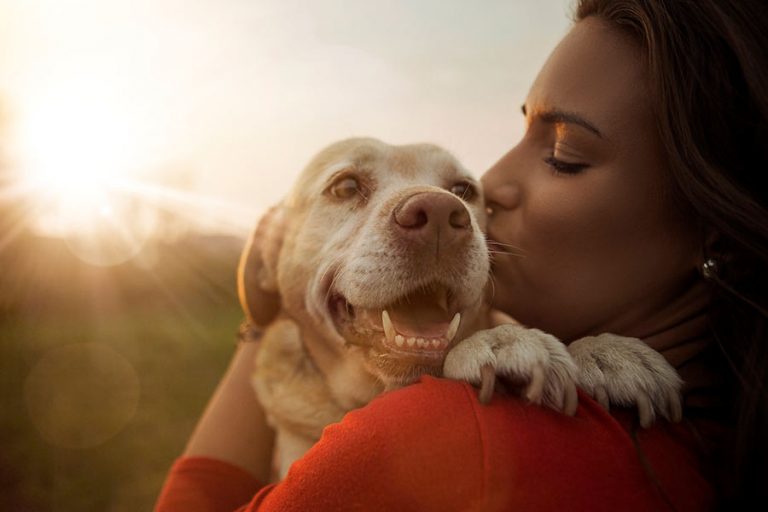 Tu perro puede distinguir entre rostros felices y enojados - Revista ...
