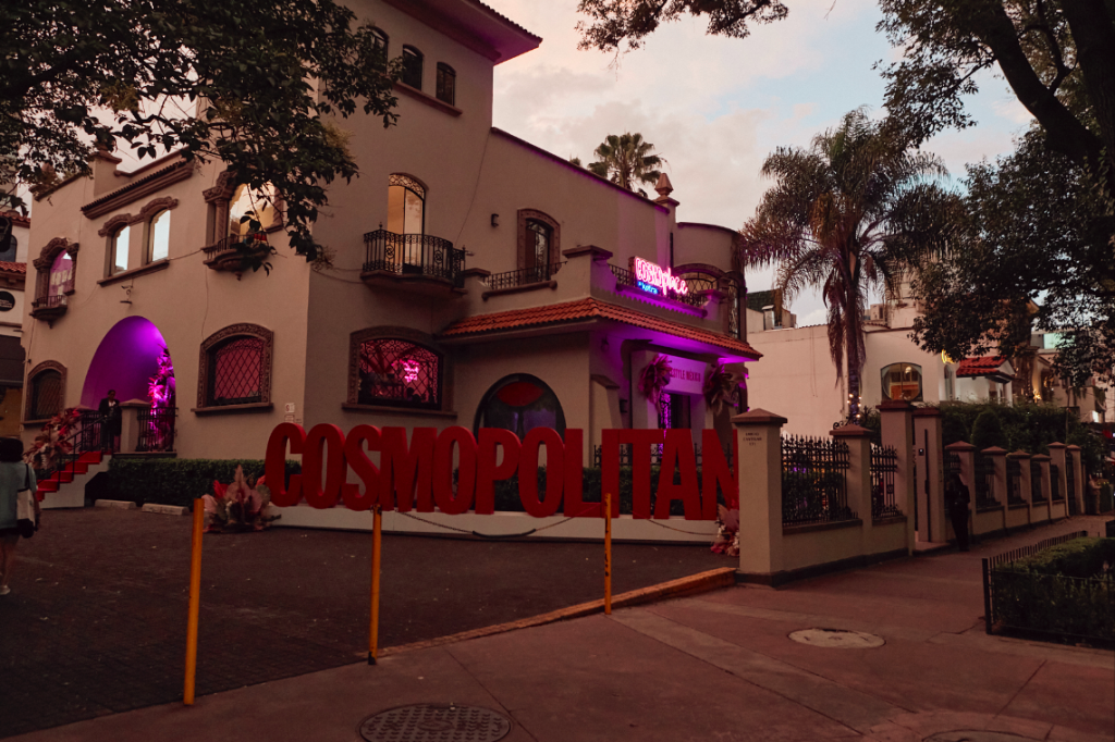 Cosmo Place X Kotra: flores que duran hasta 2 años vivas, ¡el regalo ...