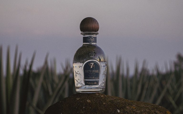 Siete Leguas: el tequila artesanal ideal para brindar esta Navidad